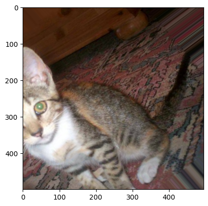 Swin Transformer实现catvsdog猫狗分类99.5%准确度_models.swintransformer(weights=-CSDN博客