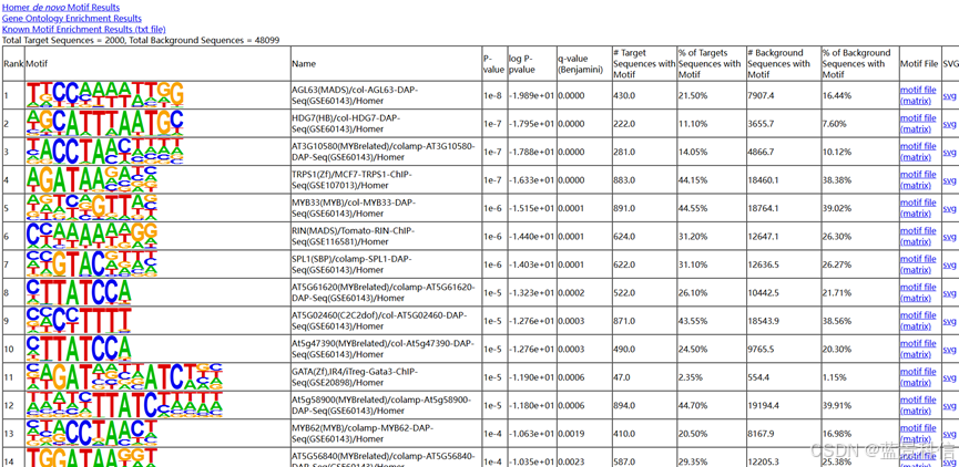 motif分析工具——MEME-CHIP-CSDN博客