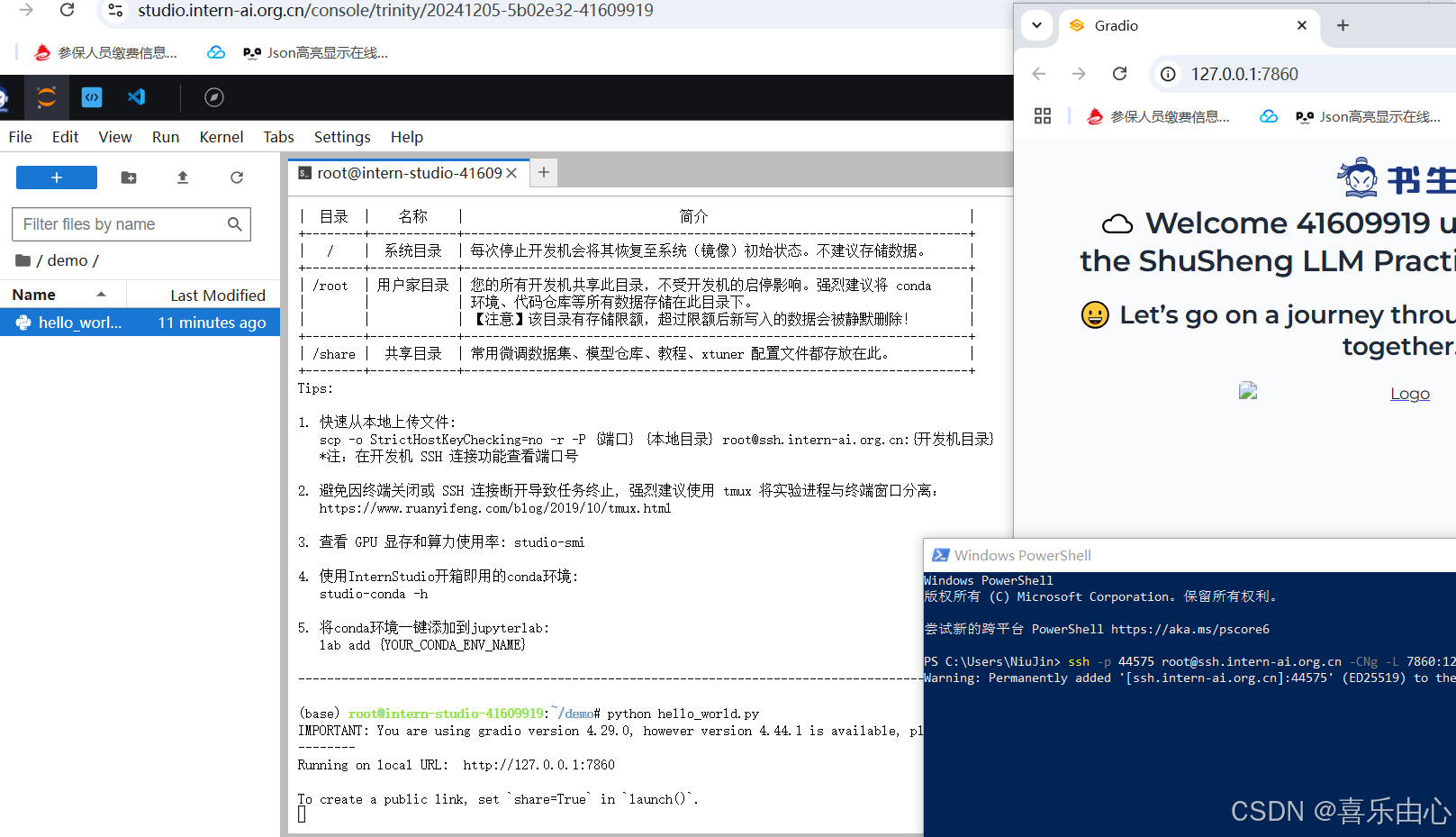 书生大模型实战营（第四期闯关大挑战）- L0G1000闯关作业提交-Linux-CSDN博客