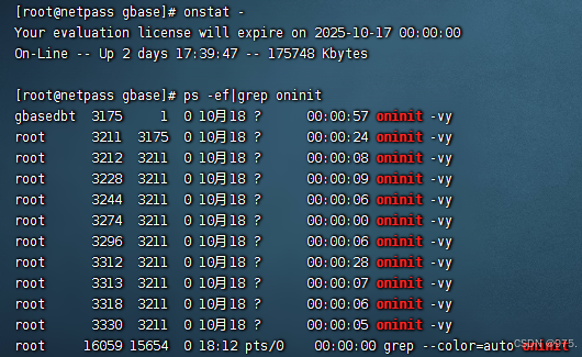GBase8s v8.8典型安装及问题记录_gbase8.8安装-CSDN博客