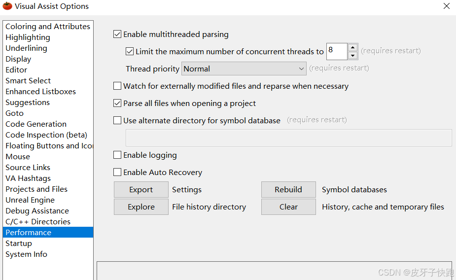VS2022小番茄(visual assist)和彩虹括号(viasfora)设置-CSDN博客