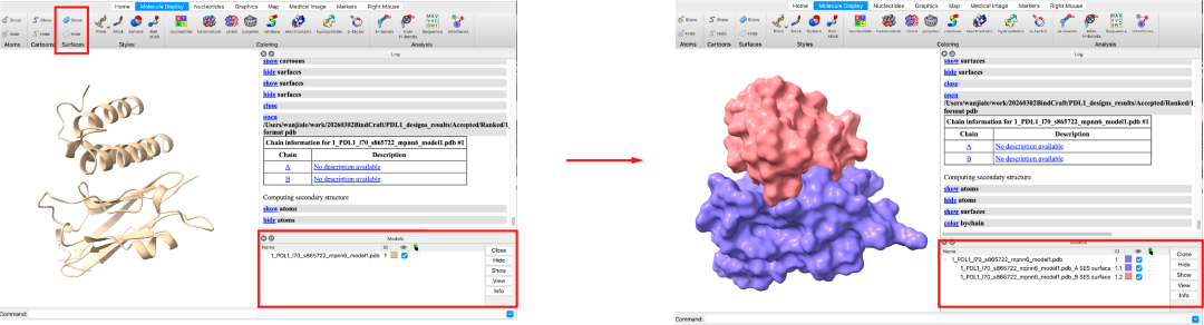 结构可视化还在用PyMOL？顶刊都在用ChimeraX了-CSDN博客