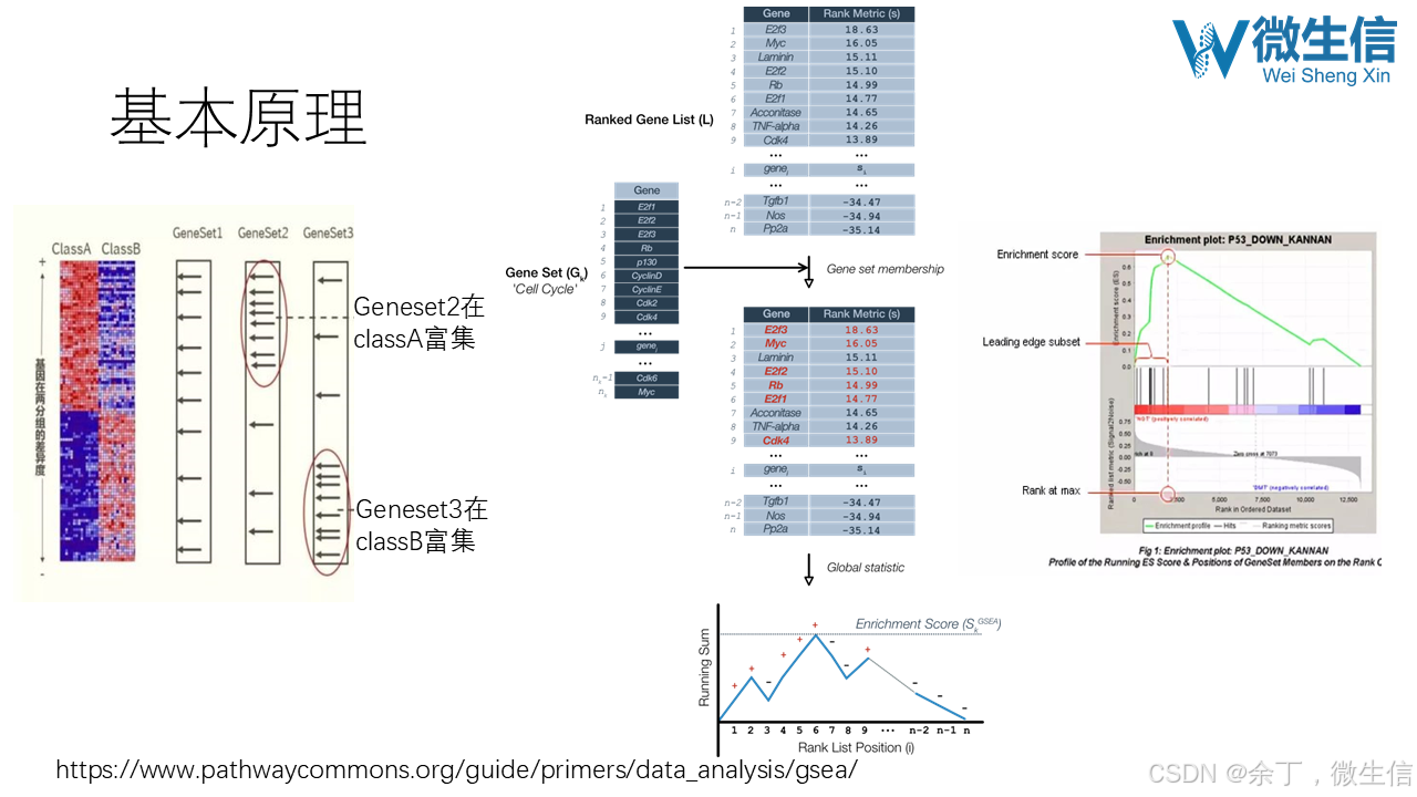 生信入门第十一课 ：基因集富集分析（ Gene Set Enrichment Analysis，GSEA）原理和R代码-CSDN博客