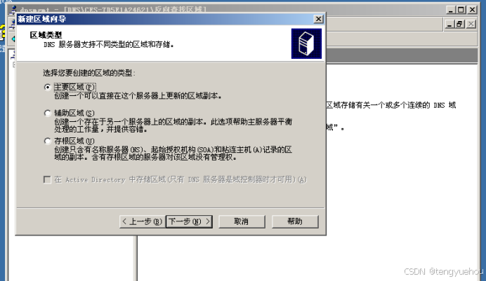 Windows server 2003 Dns（域名解析服务器）搭建过程_server2003配置dns-CSDN博客