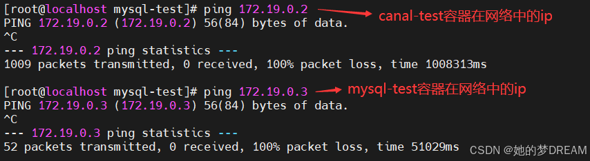 【canal】基于docker部署、与mysql连接的过程报错及解决_docker部署canal-CSDN博客