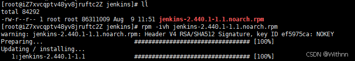 Linux环境下安装JDK11和Jenkins_jenkins jdk11-CSDN博客