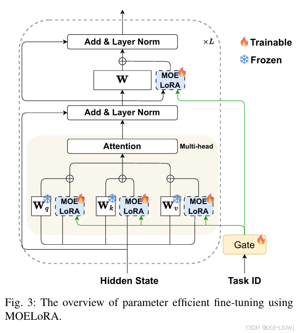 论文略读：MOELoRA- An MOE-based Parameter Efficient Fine-Tuning Method for Multi-task Medical ...