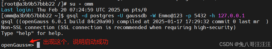 使用docker安装opengauss-单机版容器部署（支持外部访问）_docker安装opengaussdb-CSDN博客