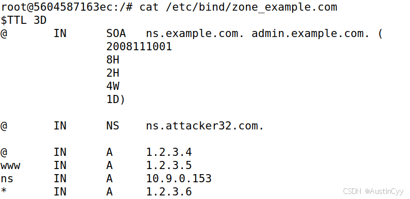 【Seed-Labs 2.0】Local DNS Attack Lab_seedlab dns-CSDN博客