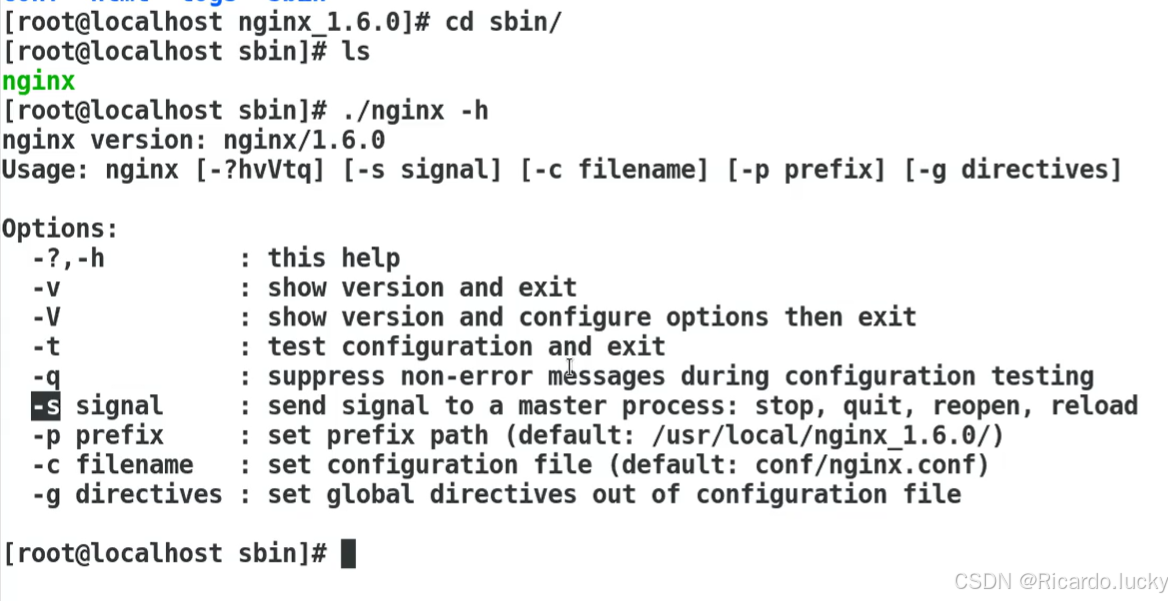 Nginx服务建立_nginx服务器-CSDN博客