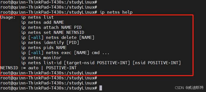Linux网络命令： 系统中用于管理网络命名空间的命令ip netns详解-CSDN博客