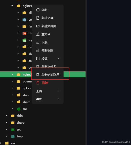 Nginx怎么配置SSL证书（图文版、ssh工具版）_nginx配置ssl证书-CSDN博客