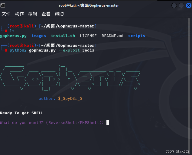 CTF-Hub SSRF通关攻略_ctf hub-CSDN博客