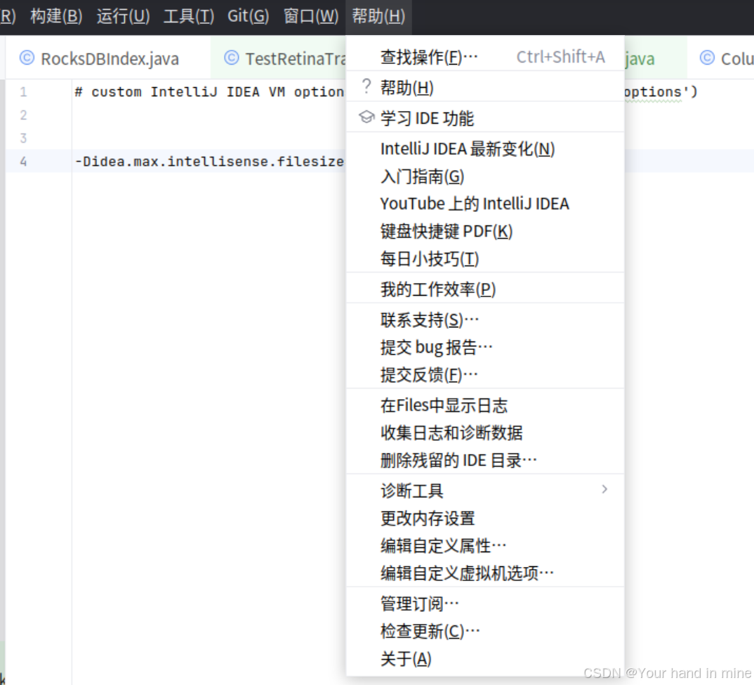 IDEA 中提示代码文件大小超出限制，导致洞察不可用问题_文件大小超出了配置的限制,代码洞察功能不可用-CSDN博客