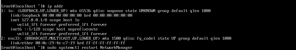 虚拟机安装liunx后ens33没有地址_linux 启动后ens33 没有ip地址-CSDN博客