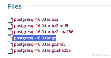 PostgreSQL16安装流程（Centos7）_postgresql 16-CSDN博客