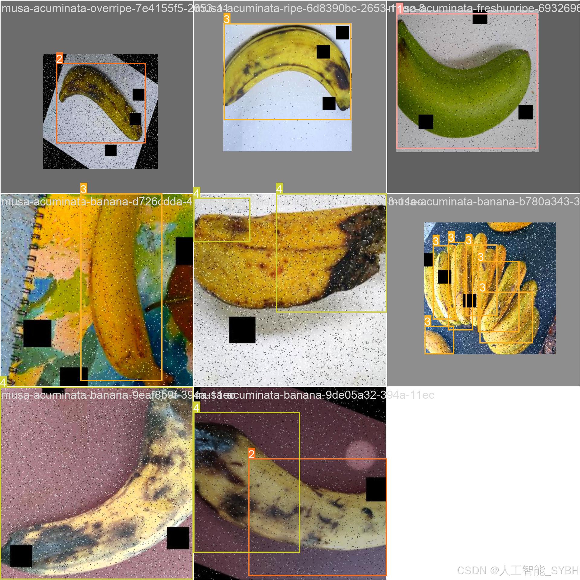 基于yolov10的香蕉成熟度检测系统（深度学习模型ui界面python代码训练数据集）基于yolov11的香蕉成熟度检测系统 Csdn博客