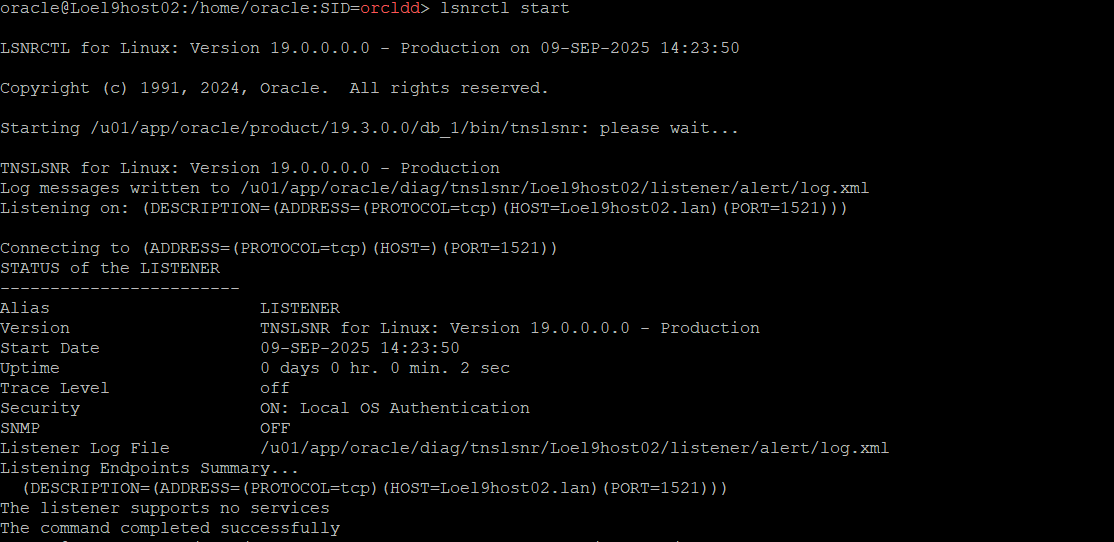 Oracle DG（tnsping不通，地址是localhost）_oracle数据库重启监听也ping不通-CSDN博客