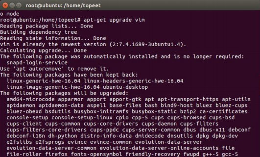 Linux入门篇学习——Ubuntu 使用 apt-get 下载_ubuntu apt-get-CSDN博客