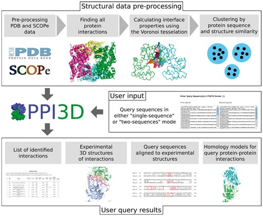 AIDD 分享 | PPI 3D 蛋白—蛋白（核酸、肽）相互作用的Web服务器-CSDN博客