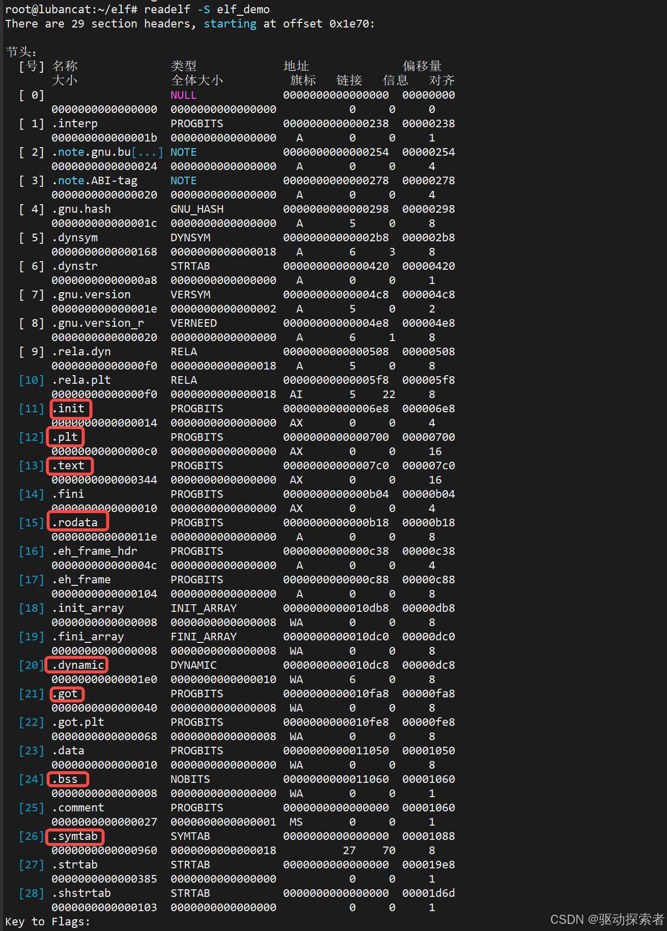 ELF 文件入门_elf文件 .data-CSDN博客