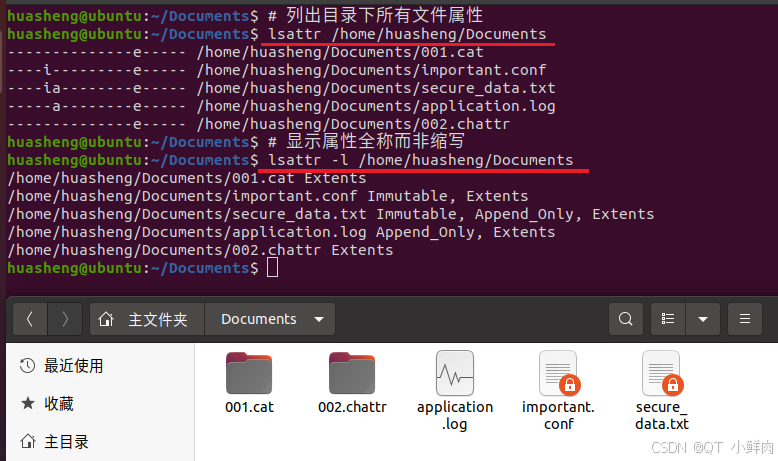 【Linux命令大全】001.文件管理之chattr命令（实操篇）-CSDN博客