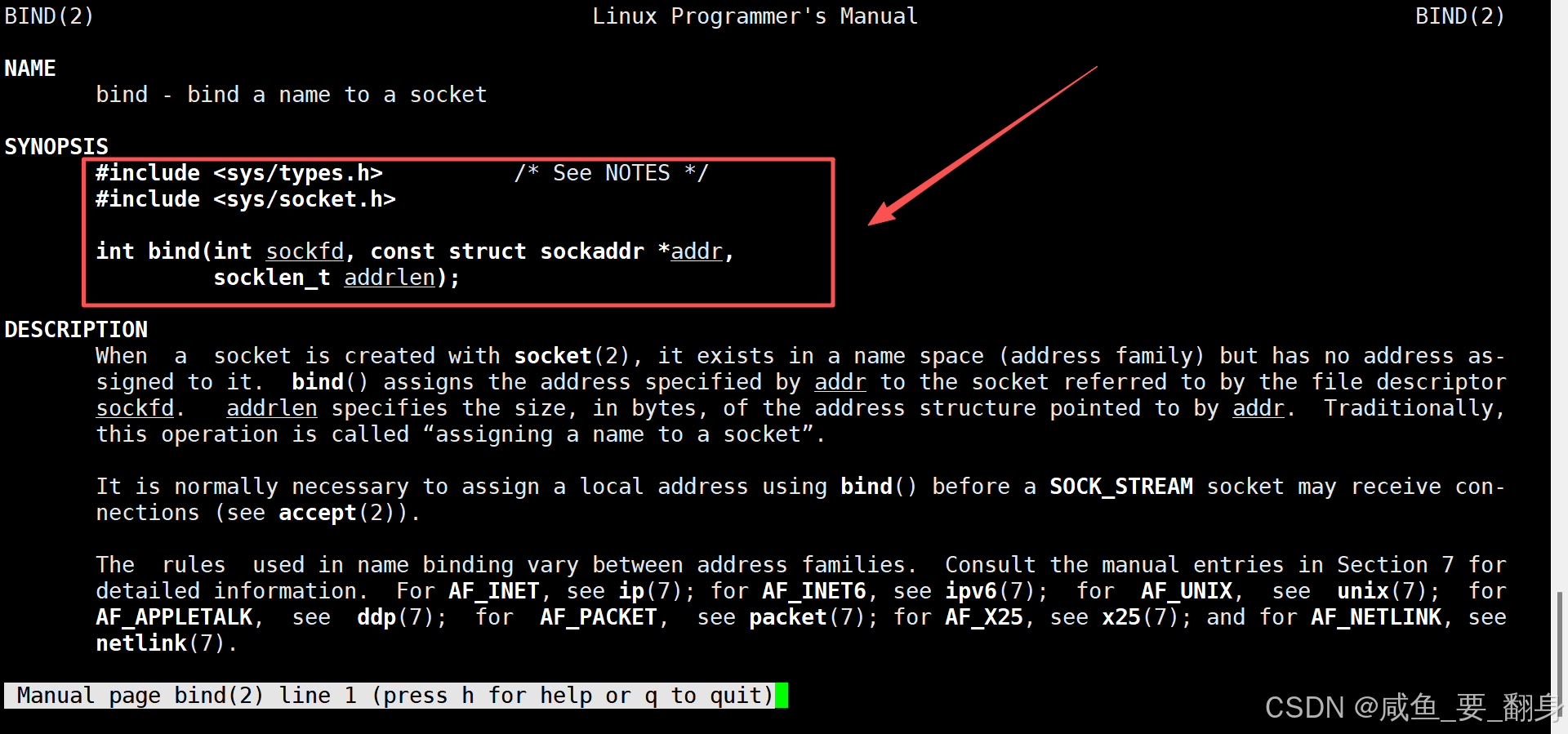 std::bind 和 socket 的 bind 函数的联系与区别-CSDN博客