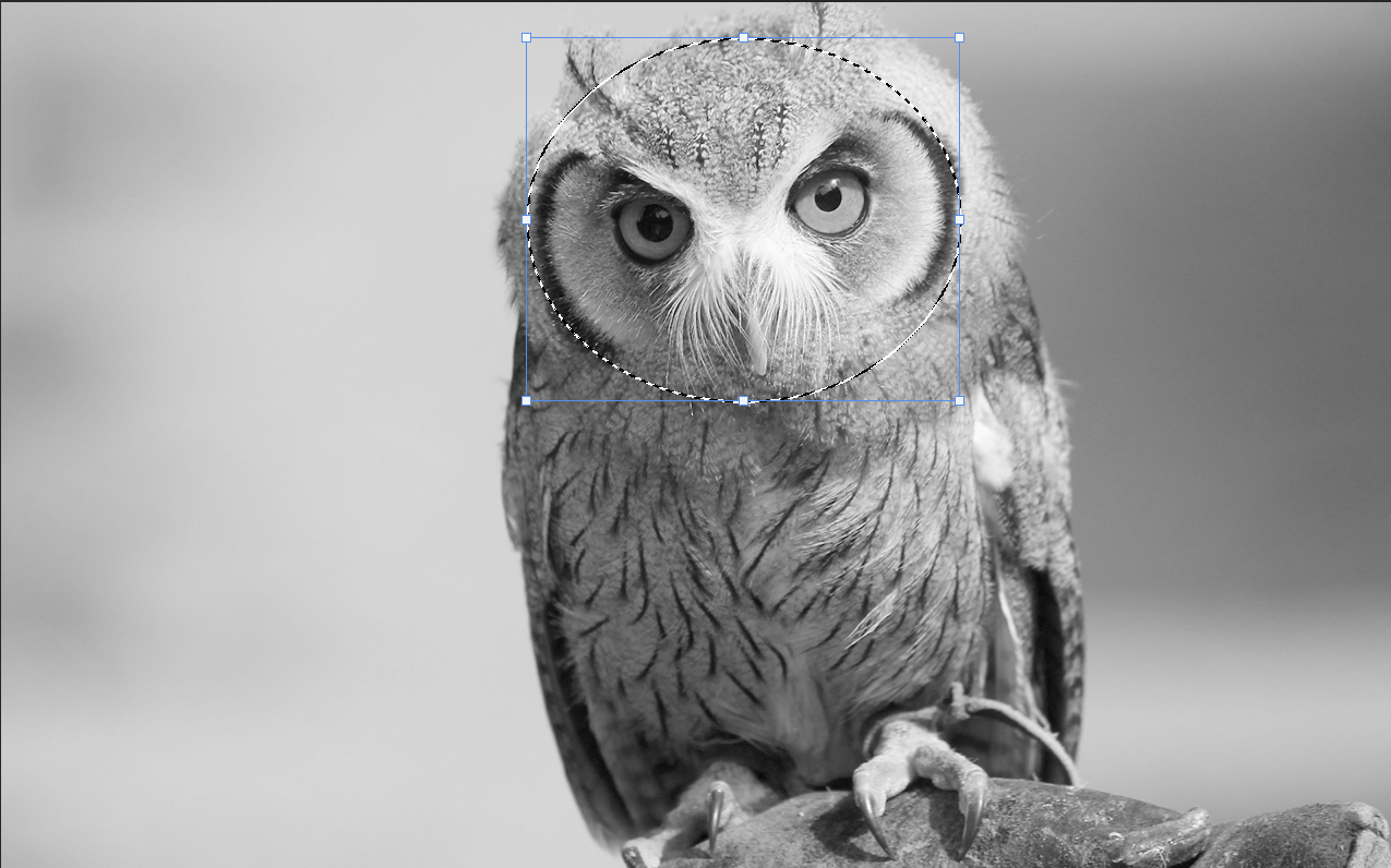 LITTLE PLAY-抠图-CSDN博客