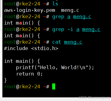 grep 命令使用方式和使用案例_aws grep命令-CSDN博客