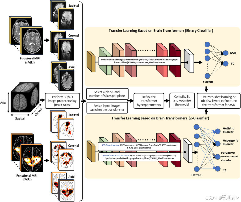 [CIBM 2023]Do it the transformer way: A comprehensive review of brain ...