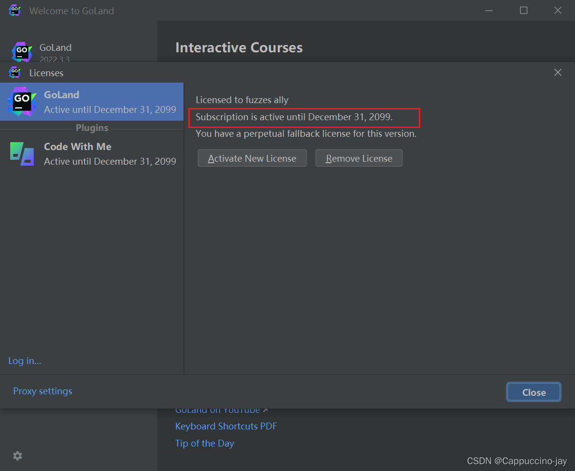 【Go】Goland下载与安装教程（详细）_goland安装-CSDN博客