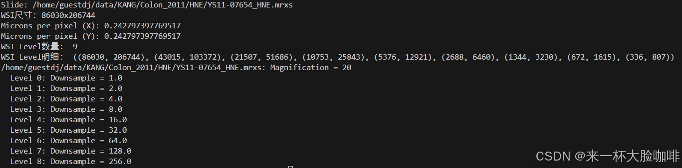 Deepzoom和Openslide处理WSI时的异同及问题解决_openslide读取wsi-CSDN博客