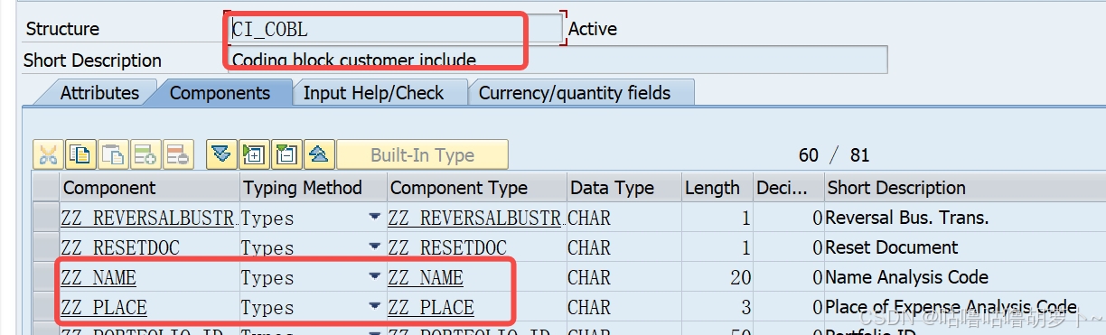 sap Fico Coding Block新增自定义字段_sap coding block-CSDN博客