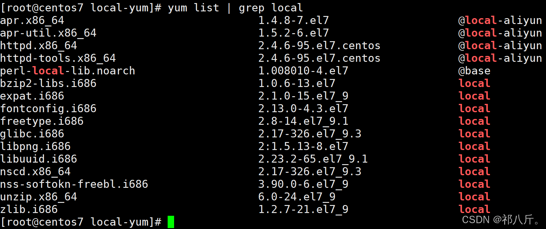 Linux搭建httpd局域网yum仓库源 - 保姆级教程_linux下搭建局域网源-CSDN博客