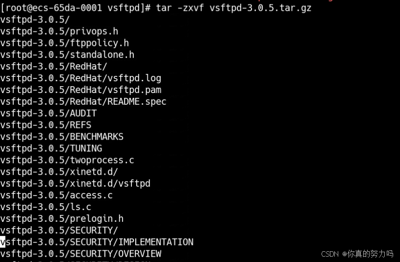 vsftpd升级到3.0.5(或者直接安装)-CSDN博客