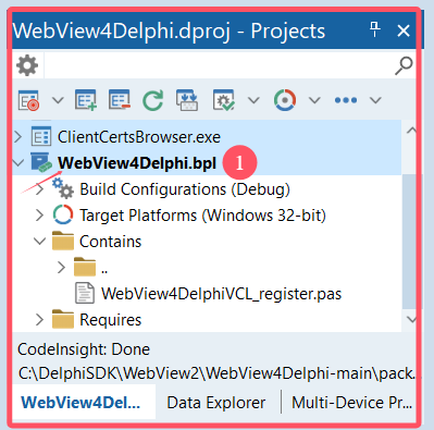 使用 Delphi + WebView4Delphi 初步使用完整指南-CSDN博客