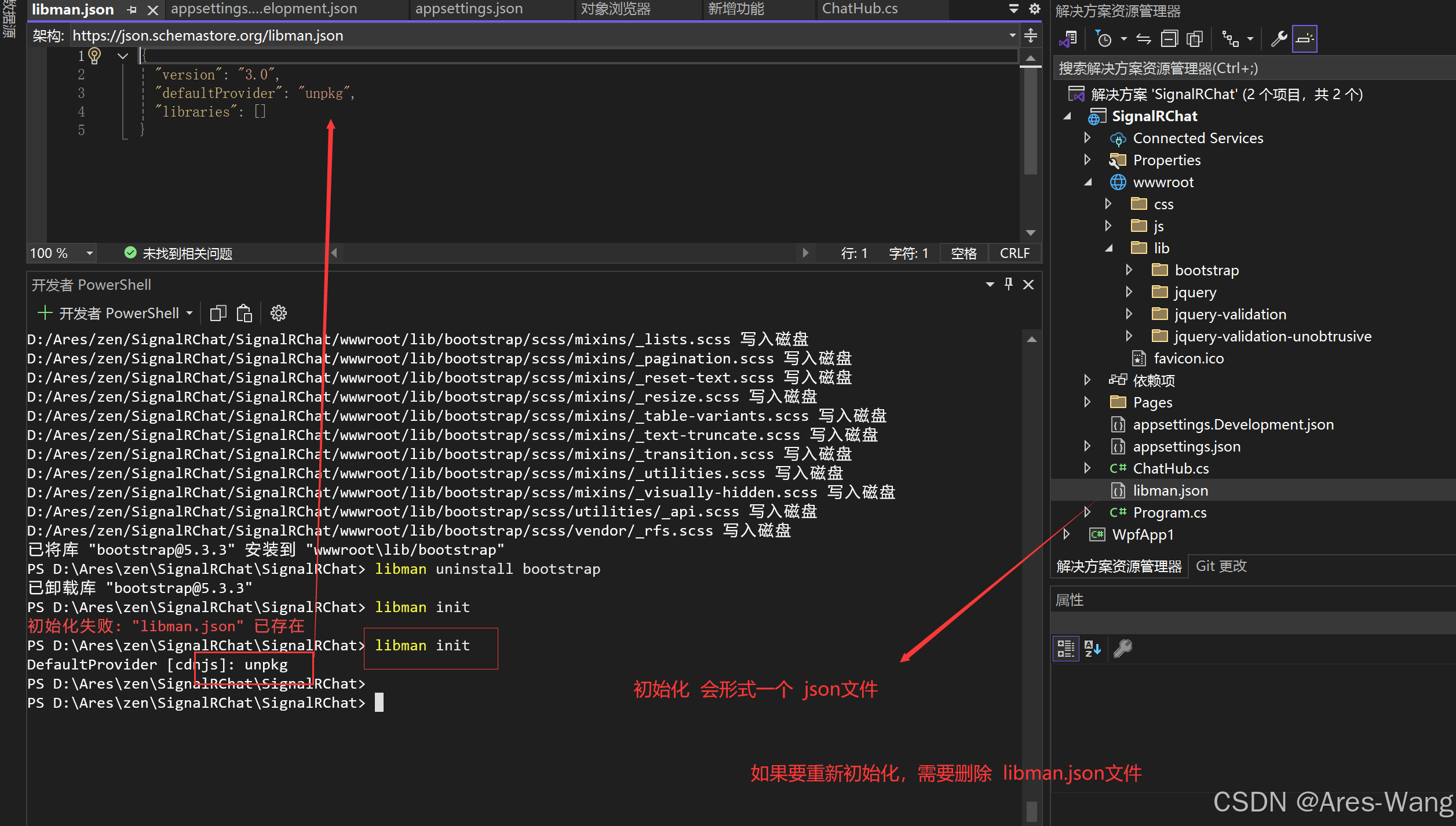 net Core 客户端库 LibMan_libman.json-CSDN博客