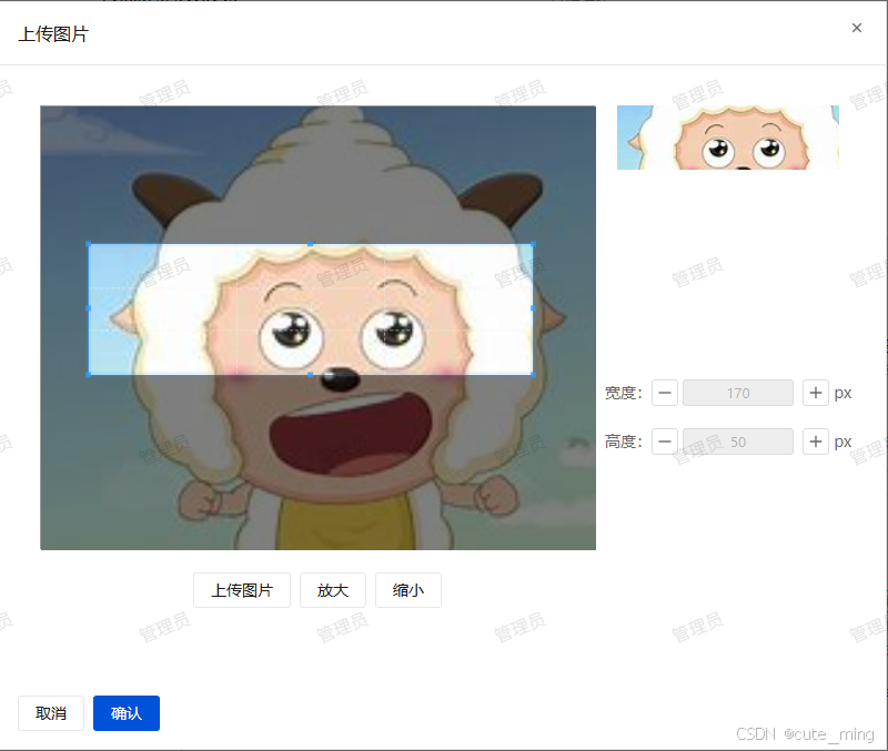 Vue3tdesigncropperjs实现图片裁剪上传vue3 Cropperjs Csdn博客