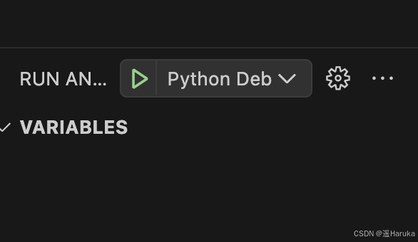 VScode调试需要处理argparser输入_vscode go debug args 输入参数-CSDN博客