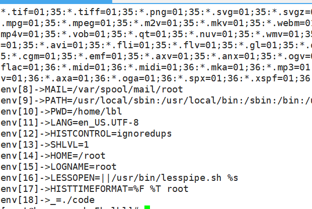 【LINUX】环境变量_linux 环境变量-CSDN博客