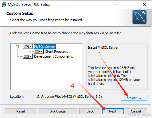 MySQL在Windows中安装与配置（9.0版详细教程）_mysql9.0安装教程详细步骤-CSDN博客