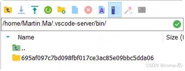 离线环境中mobaxterm通过ssh与vscode建立联系_vscode xterm-CSDN博客