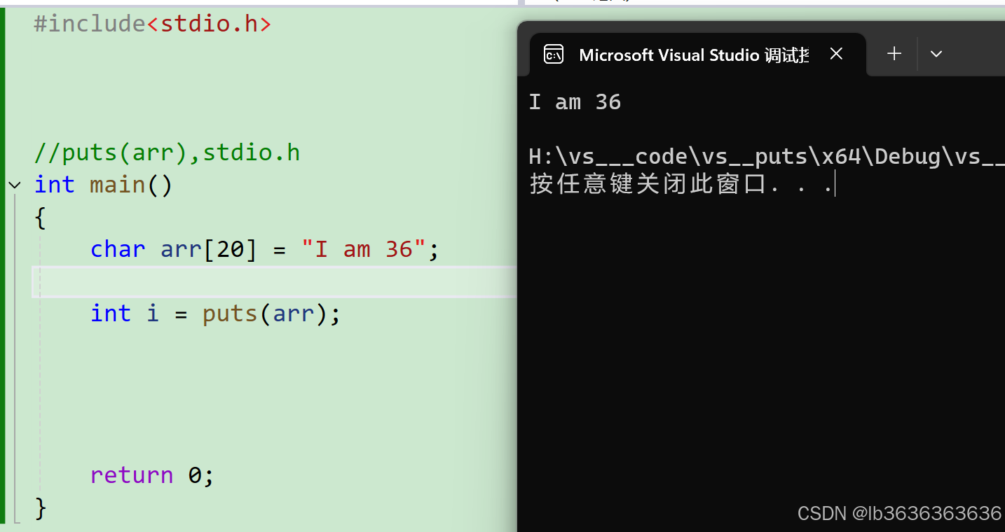 介绍一下puts(c基础)-CSDN博客