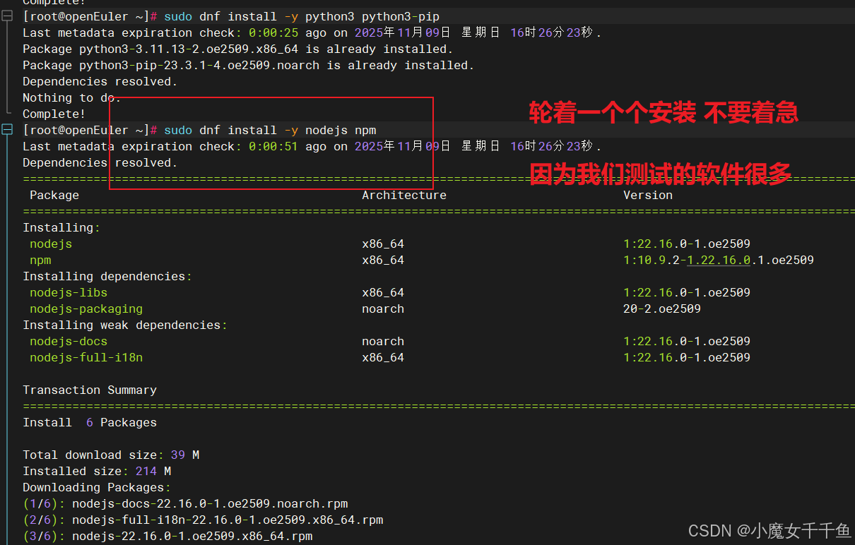 openEuler 常用开发工具性能实测：Python、Node.js、Git 运行效率对比-CSDN博客