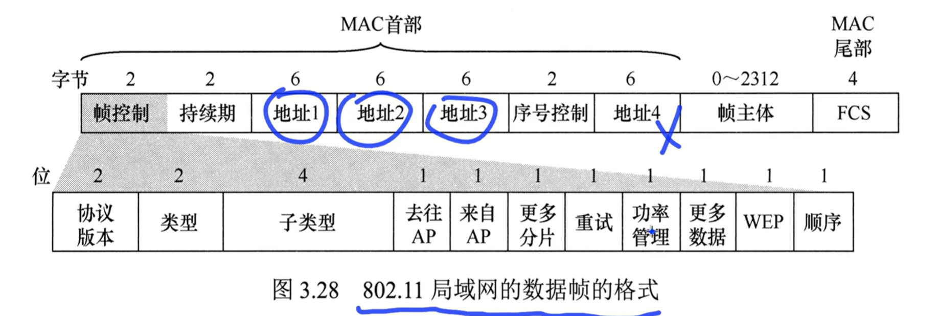 408第三季part2 - 计算机网络 - 局域网-CSDN博客