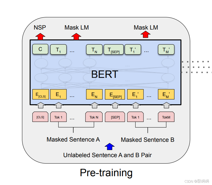 【基础模型】BERT架构_bert模型两个训练方法-CSDN博客