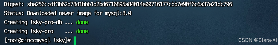 基于Docker容器化部署Lsky Pro私有图床系统_docker安装 lsky pro-CSDN博客