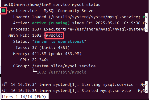 mysql安装和使用-CSDN博客